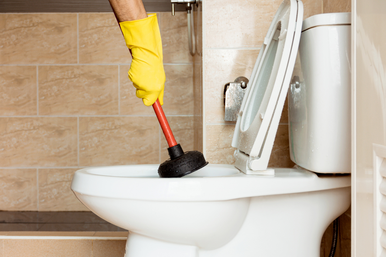 Troubleshooting a Clogged Toilet